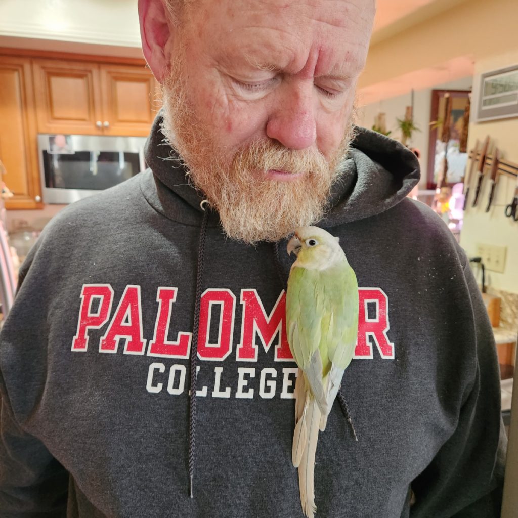 Visit Our Collection of Your Bird Pics - Add Yours! - Windy City Parrot