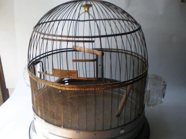 A Brief History of Bird Cages Through Time - Windy City Parrot