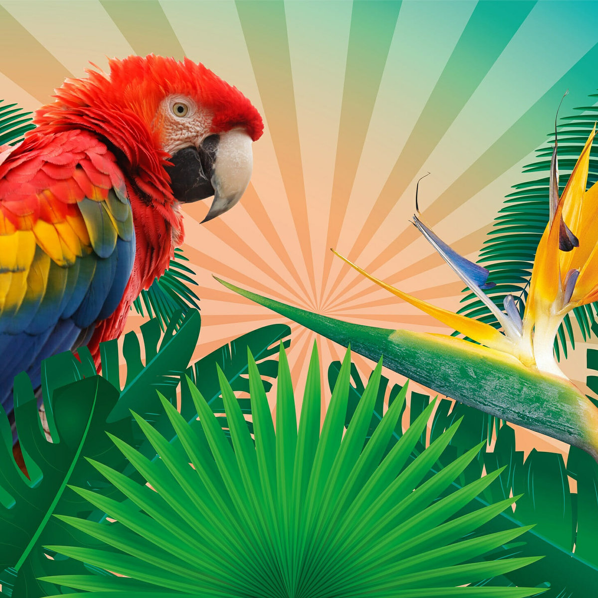 How Pet Bird Keepers Get The Lighting Thing Wrong Windy City Parrot How Pet Bird Keepers Get The Lighting Thing Wrong Windy City Parrot