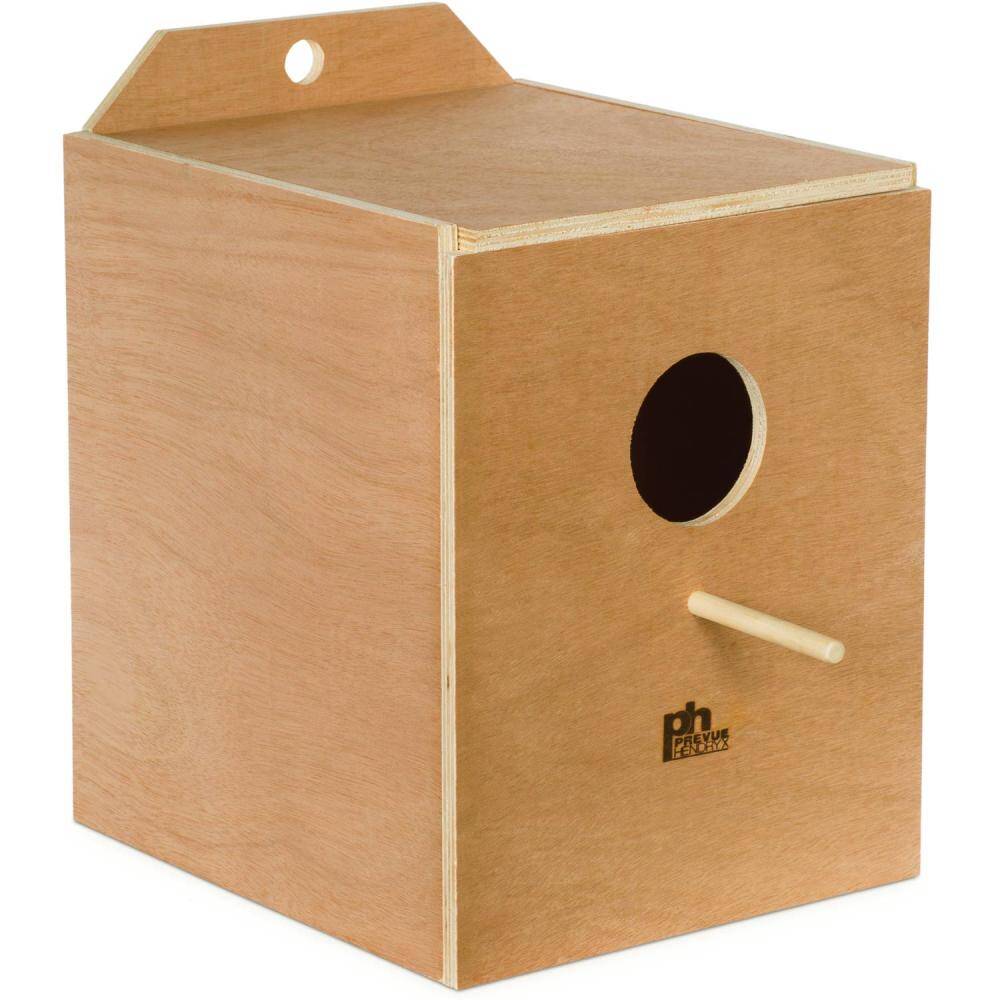 Is The Hole Too High in This Nest Box? - Windy City Parrot