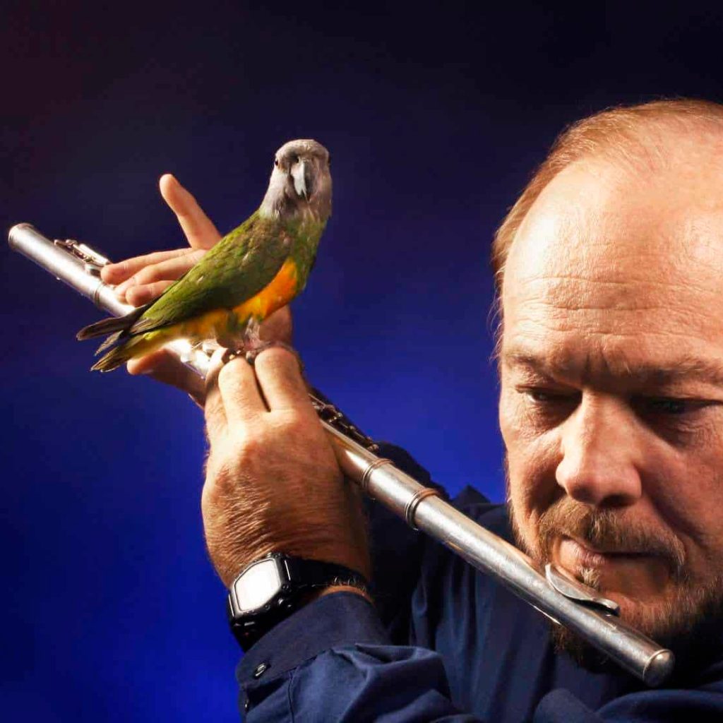 Pages Archive %page% - Windy City Parrot